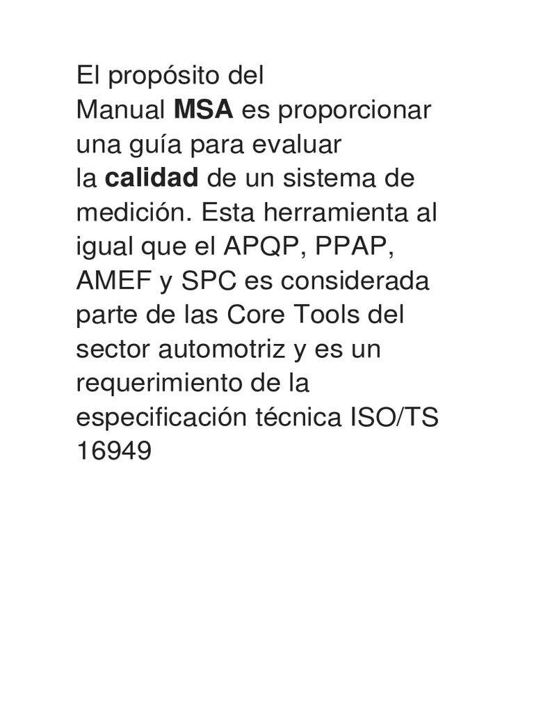 MSA | PDF | Negocios | Informática