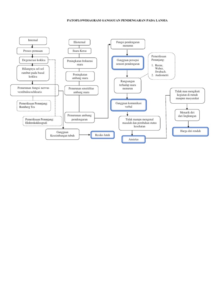 Patoflowdiagram Gangguan Pendengaran Pada Lansia | PDF