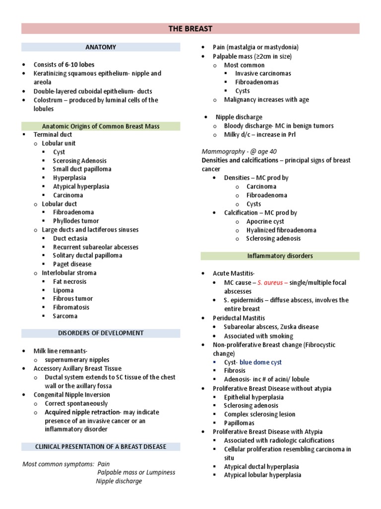 The Breast: Anatomy | PDF | Breast Cancer | Carcinoma