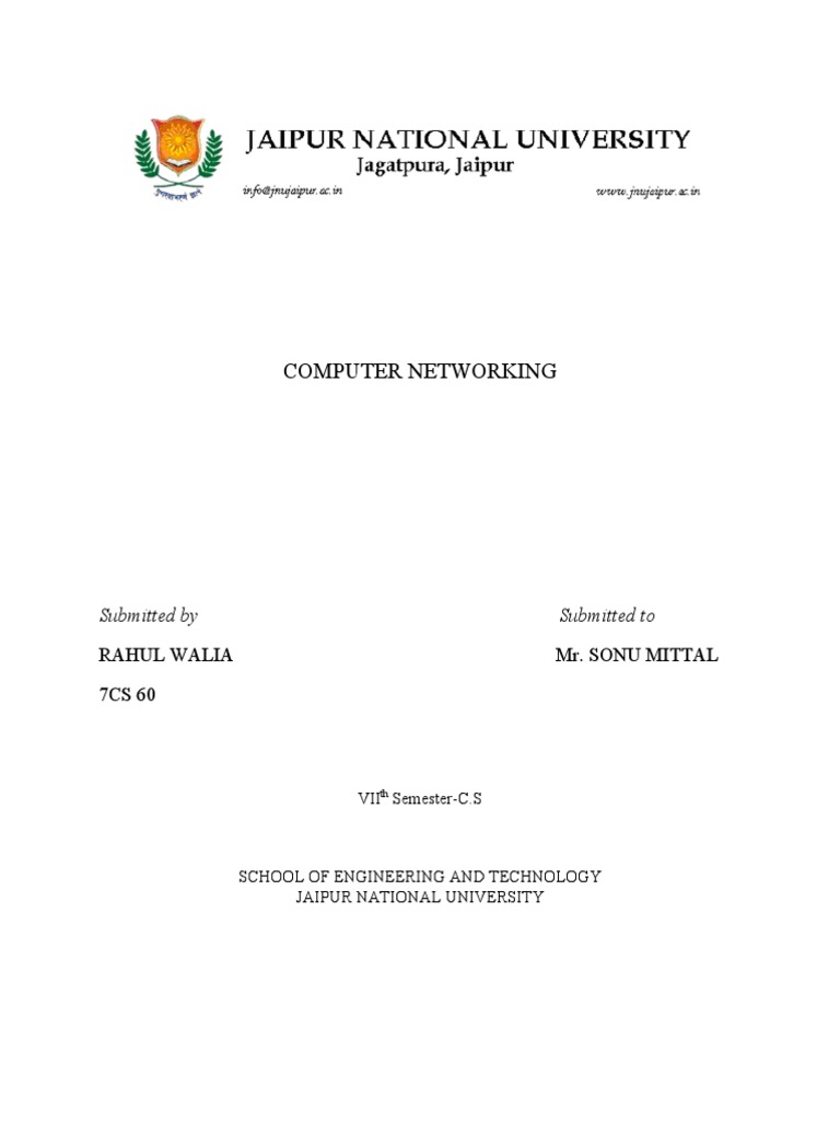 Computer Networking Submitted By Submitted To Pdf Cloud Computing