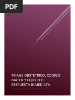 Triage Obstétrico y Código Mater en Emergencias | PDF | Muerte materna ...