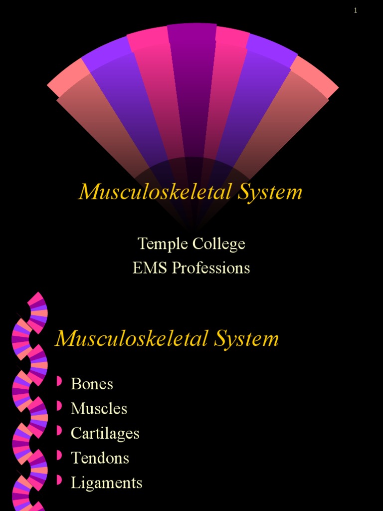 Musculoskeletal System: Temple College EMS Professions | PDF | Injury ...