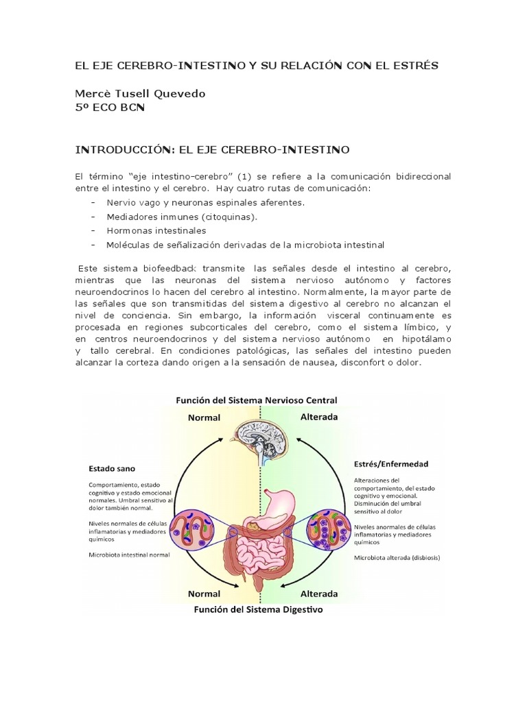 Eje Cerebro Intestino | PDF | Tripa flora | Estrés (biología)