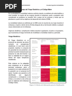 Triage Obstétrico y Código Mater en Emergencias | PDF | Muerte materna ...