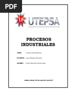 Caratula Upds | PDF