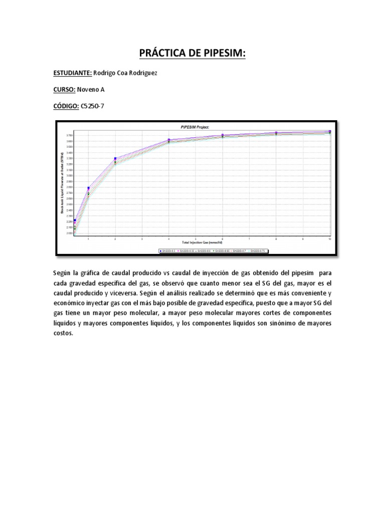 Práctica de Pipesim | PDF | Tecnología