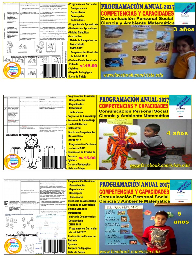 CNEB 2017 | Educación primaria | Maestros