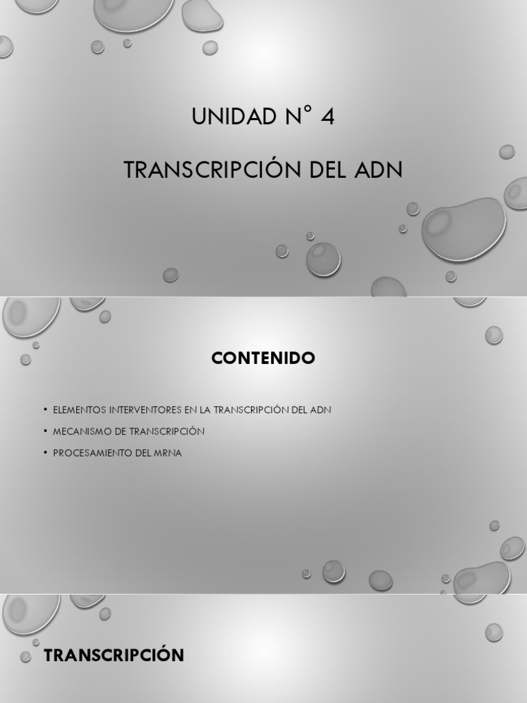 El mecanismo de transcripción del ADN a ARN en células eucariotas y procariotas | PDF | Rna | Adn