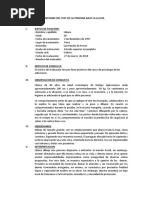 Informe e Interpretación Del HTP EJEMPLO | PDF | Arboles | Temor