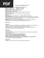 Osnovne Upute Za Pisanje Lektire | PDF