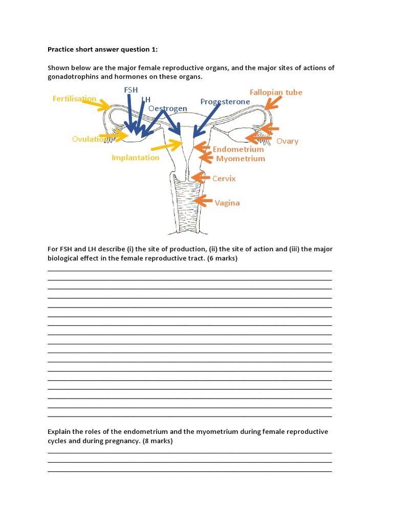 Practice Short Answer Questions For REPRODUCTIVE PHYSIOLOGY | PDF ...