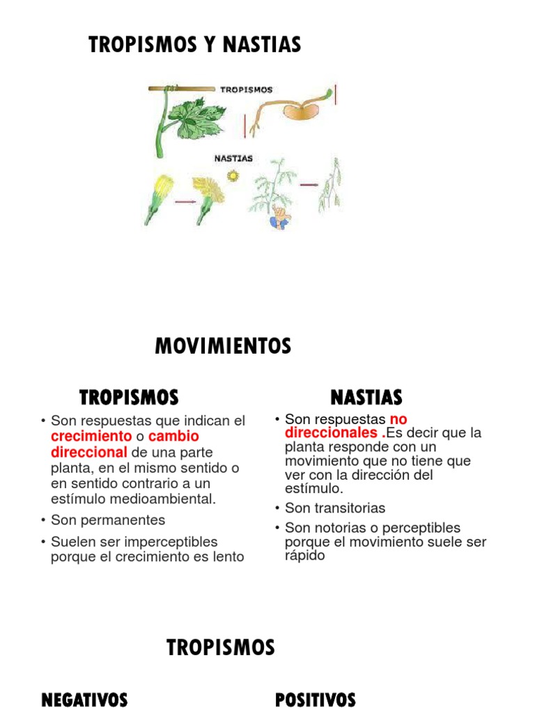 Hoja De Trabajo Sobre Los Tropismos De Las Plantas GUIA PEDAGOGICA