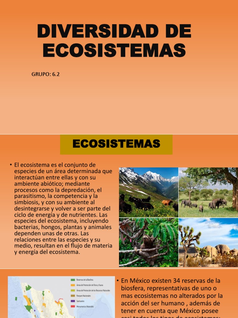 Diversidad De Ecosistemas Día Internacional De La Diversidad