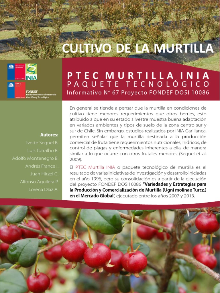 Cultivo y manejo de la murtilla | PDF | Riego | Aluminio