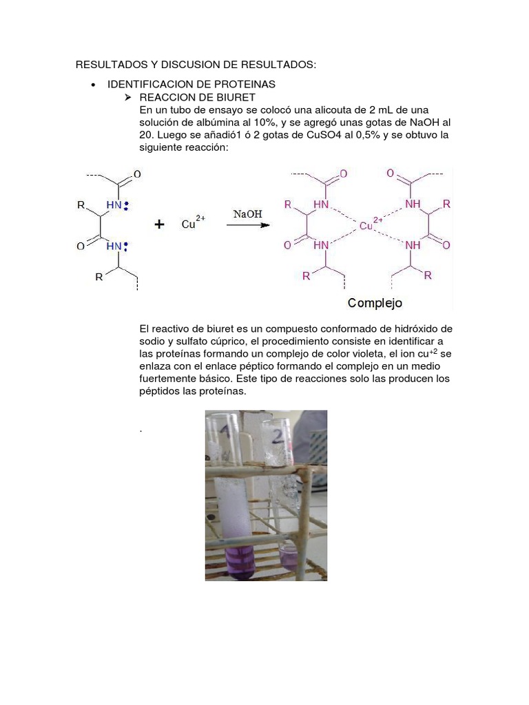 Reacción de Biuret para Identificación de Proteínas | PDF ...