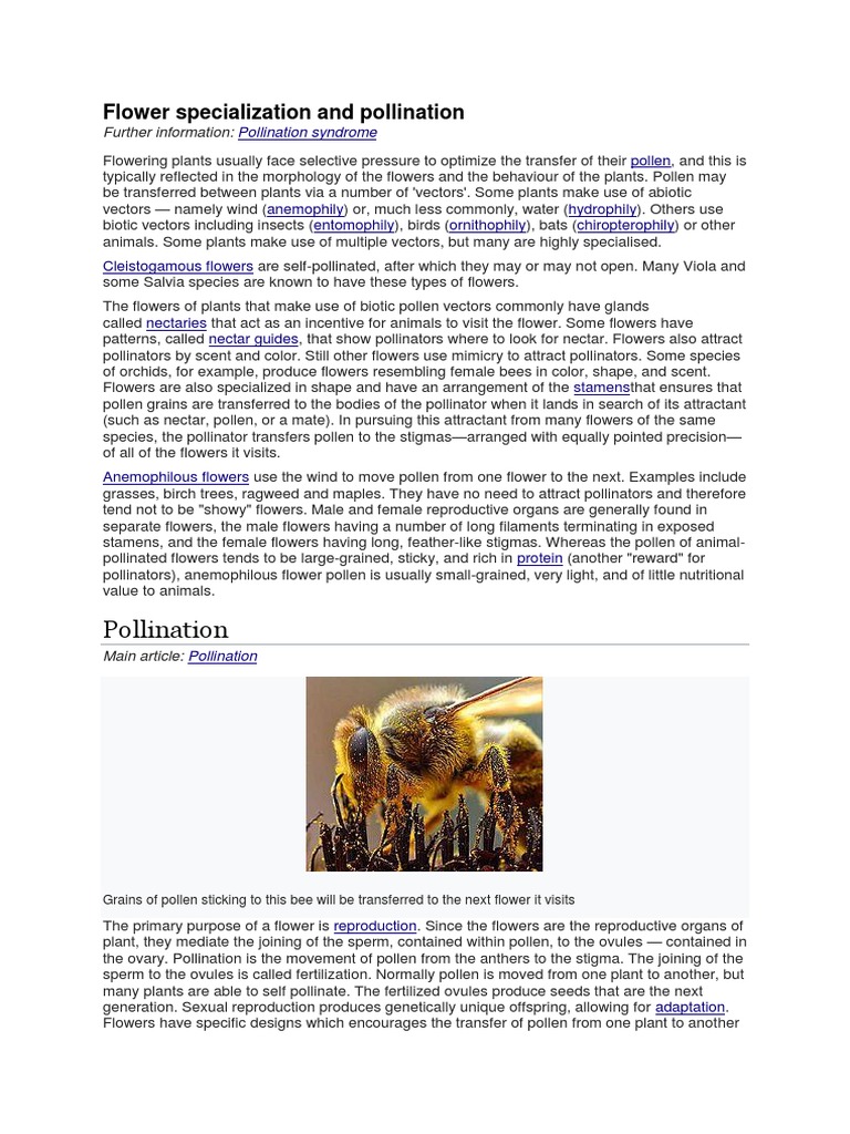 Pollination: Flower Specialization and Pollination | PDF | Flowers ...