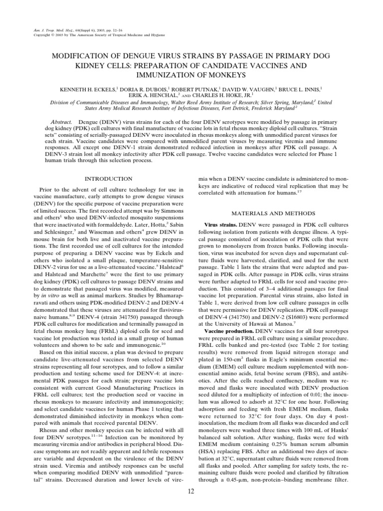 Modification of Dengue Virus Strains by Passage in Primary Dog Kidney ...