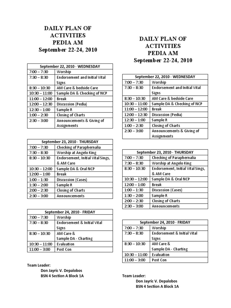 Pedia AM Activities Plan 2010 | PDF