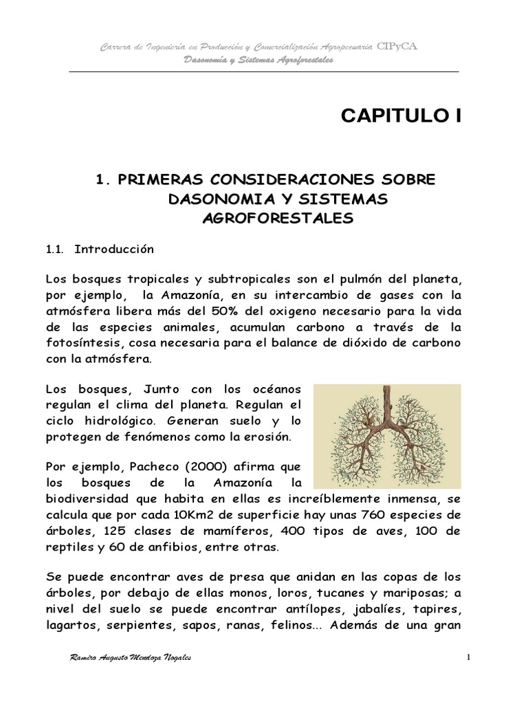 2016 CAPITULOS 1234 Guia Dasonomia PDF | PDF | Los bosques | Ecología