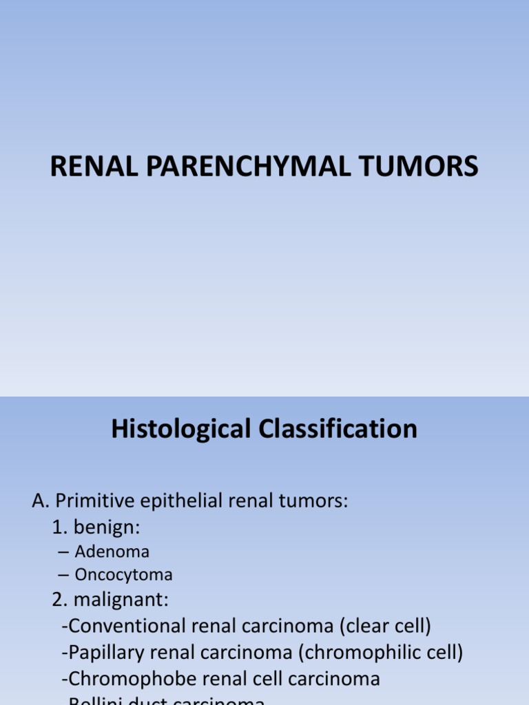 Renal Parenchyma