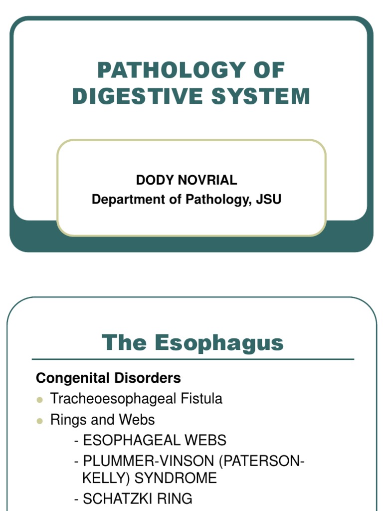 Digestive System Pathology Overview | PDF | Esophagus | Stomach