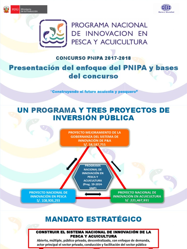 Enfoque Pnipa y Bases - Concurso Pnipa 2017-2018 | PDF | Innovación ...