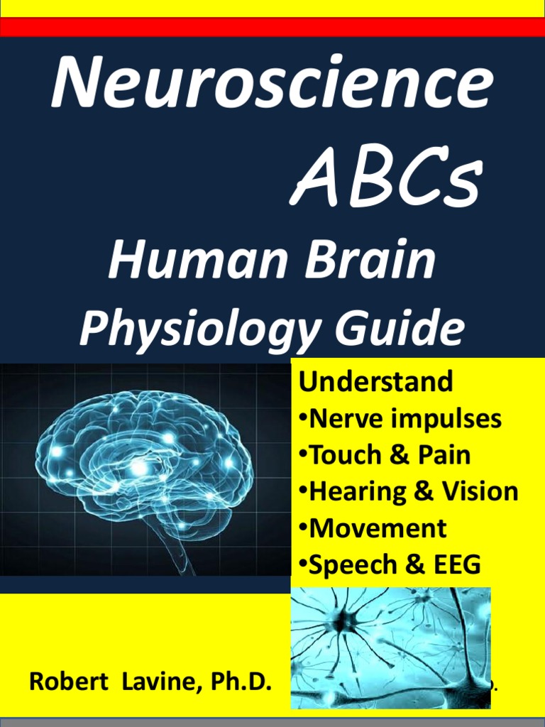 Neuroscience ABCs | PDF | Motor Neuron | Neuron