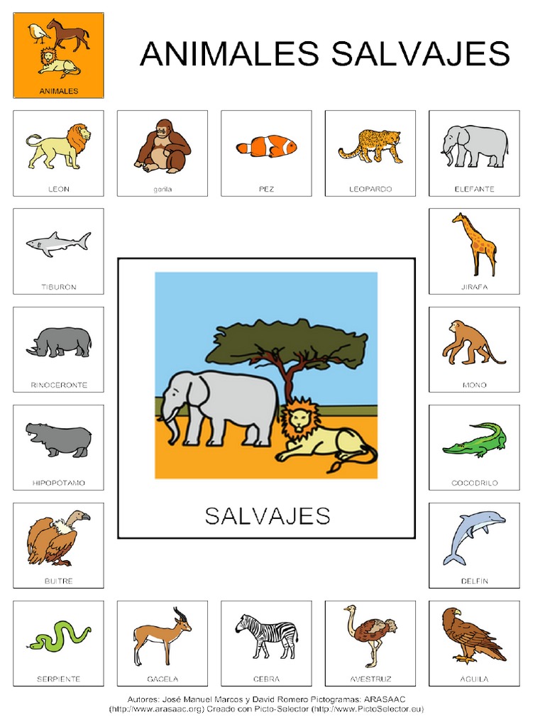 Animales Salvajes Vocabulario | PDF