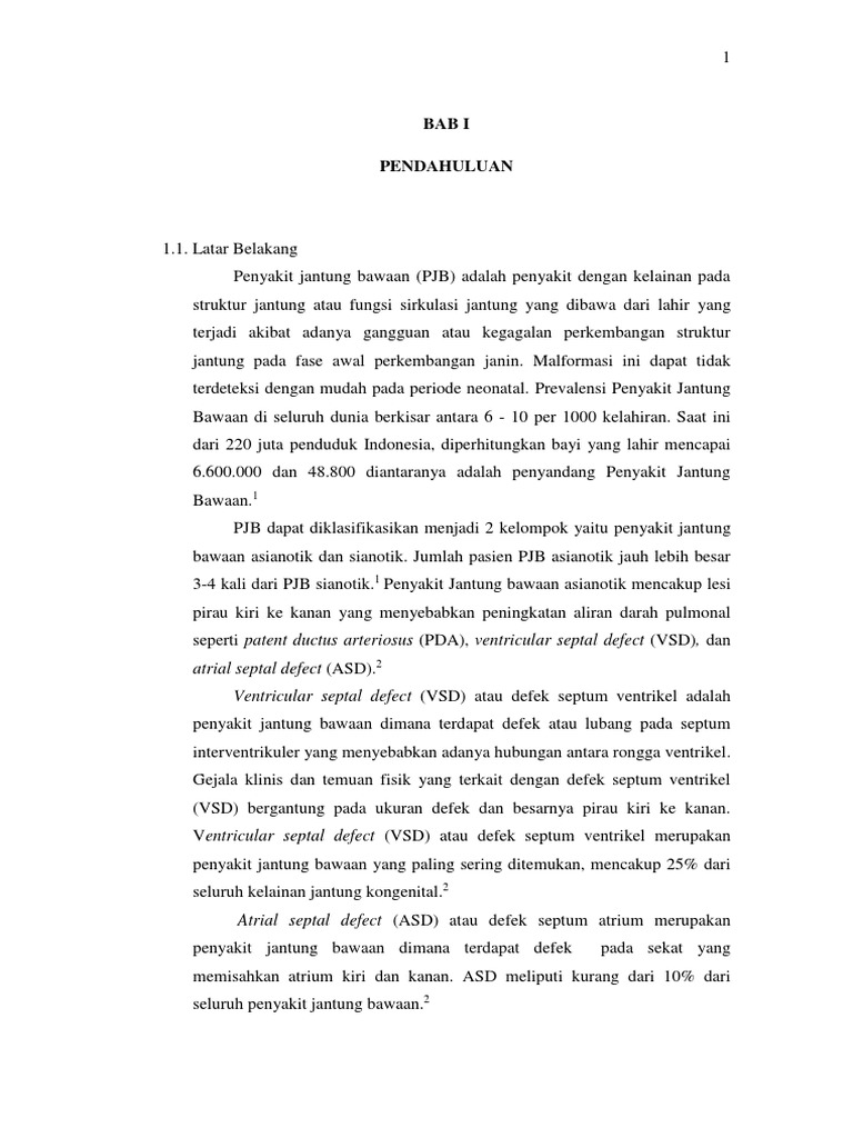 Referat Asd Dan VSD | PDF