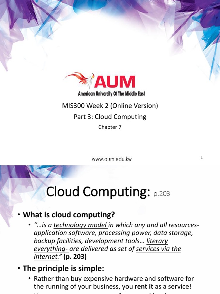 MIS300 Week 2 (Online Version) Part 3: Cloud Computing | PDF