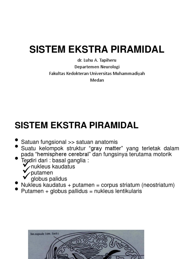 Sistem Ekstra Piramidal | PDF | Kesehatan Holistik