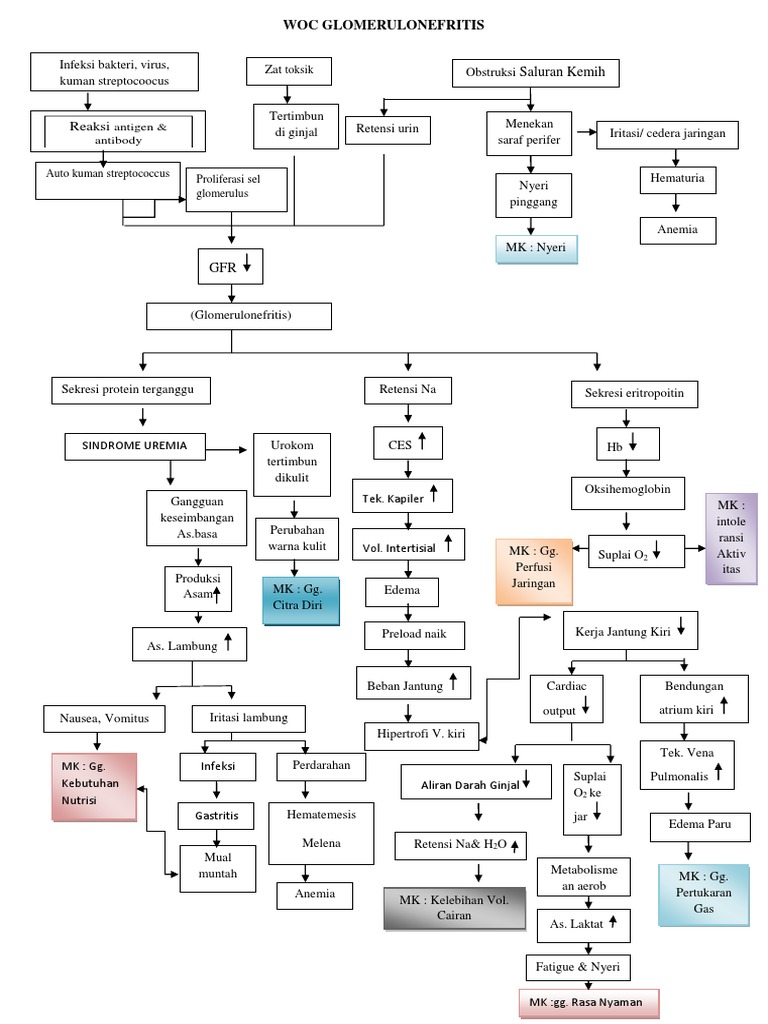 WOC Glomerulonefritis | PDF