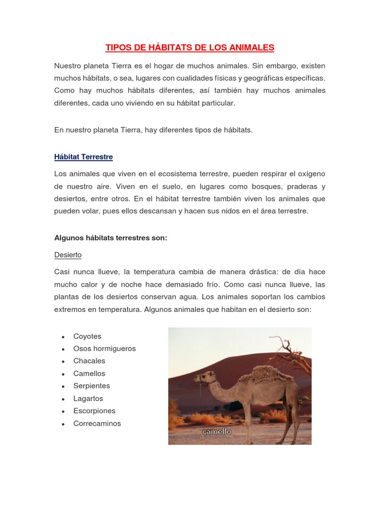 Tipos de Hábitats de los Animales | PDF | Selva | Habitat