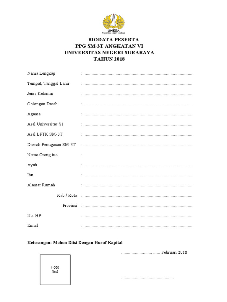 Biodata Lapor Diri PPG SM3T | PDF