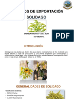 ASTM D7928-17.en - Es | PDF | Agua | Suelo