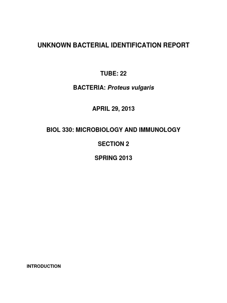 Unknown Bacterial Identification Report: TUBE: 22 BACTERIA: Proteus Vulgaris | PDF | Blot ...
