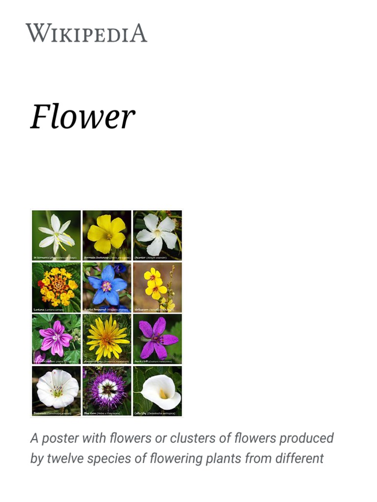 Flower - Wikipedia PDF | PDF | Flowers | Pollination