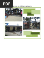Historical Evolution of Barangay | PDF | Local Government | Government