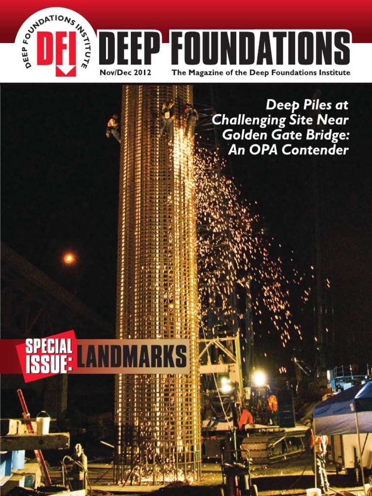 DFI The Landmark Ocell Test PDF | PDF