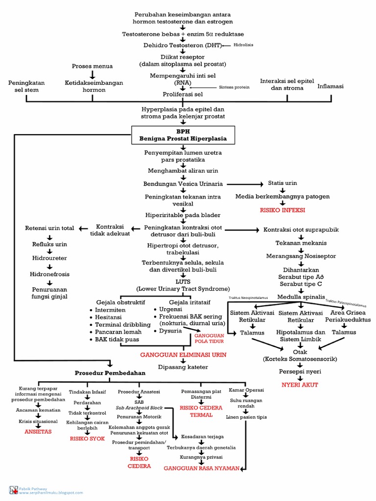 Pathway BPH Benigna Prostat Hiperplasia Pabrik Pathway PDF | PDF