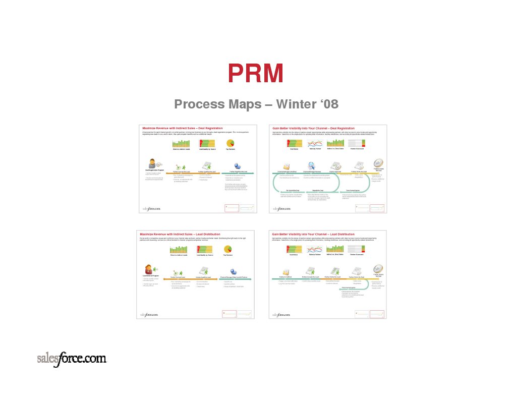 PRM Process Map | PDF | Salesforce.Com | Business