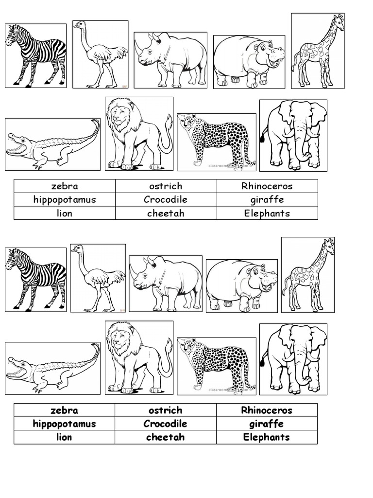 Zebra Ostrich Rhinoceros Hippopotamus Crocodile Giraffe Lion Cheetah ...