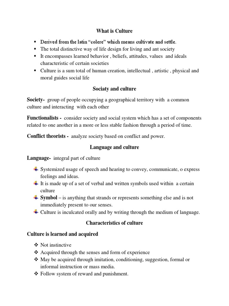 What Is Culture | PDF