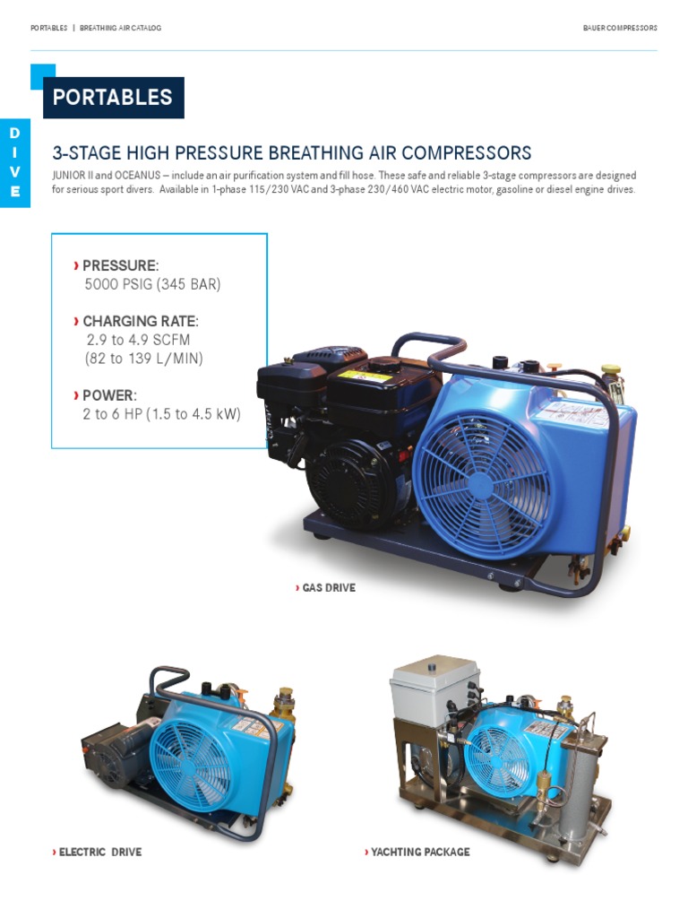 Bauer Junior II | PDF | Engines | Mechanical Engineering