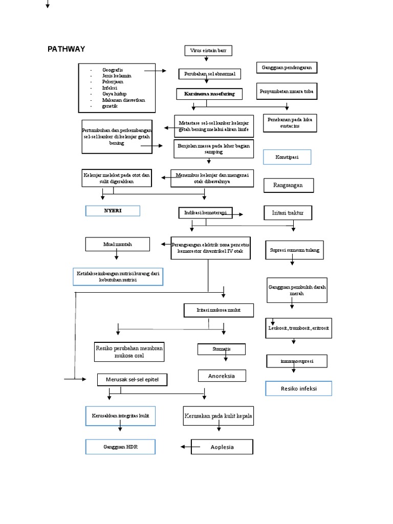 Pathway CA Nasofaring | PDF