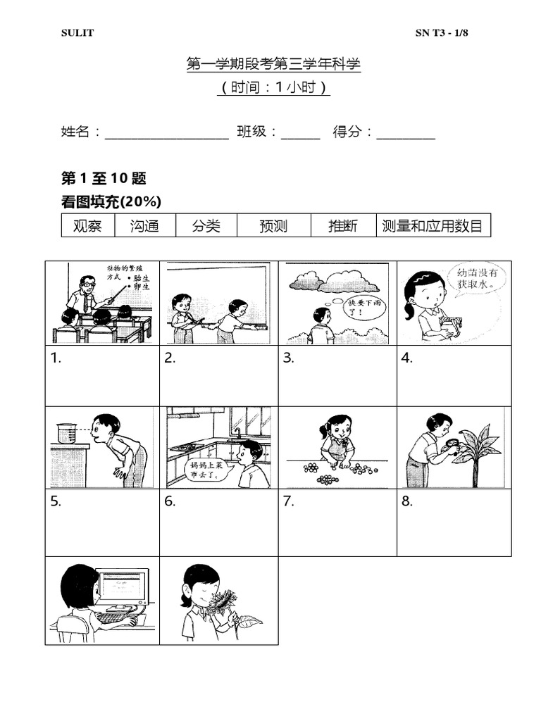 Test Paper Science Year 3 SJKC | PDF