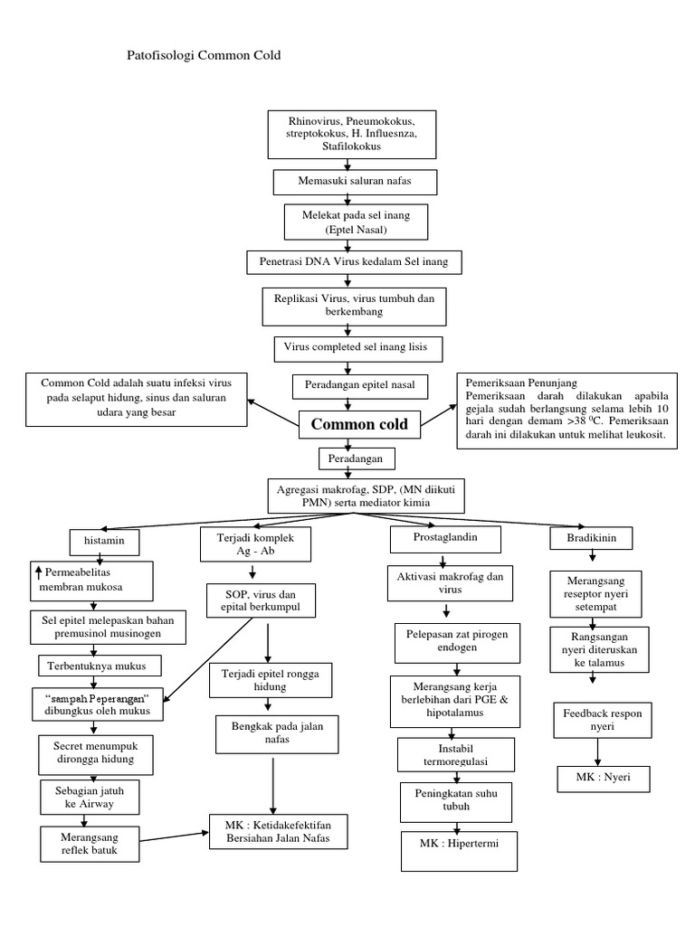 Pathway Respirasi | PDF