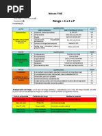 Copia de MATRIZ WILLIAM FINE | PDF | Riesgo | Bienestar