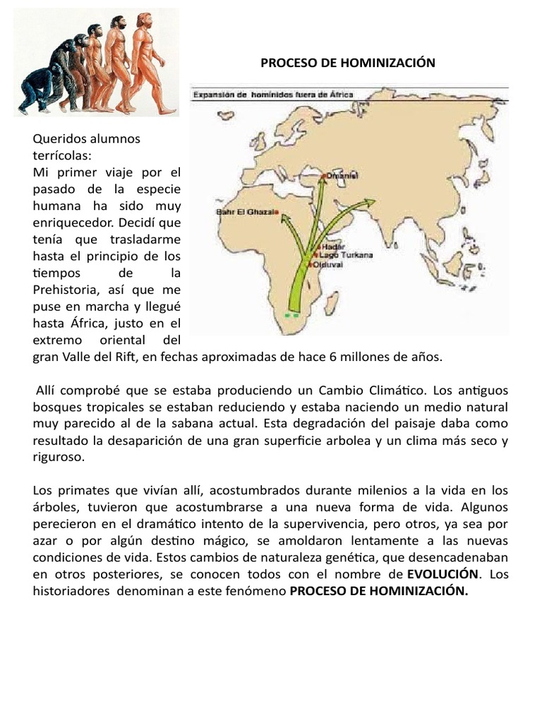 Ficha Hominizacion | PDF | Homo | Evolución humana