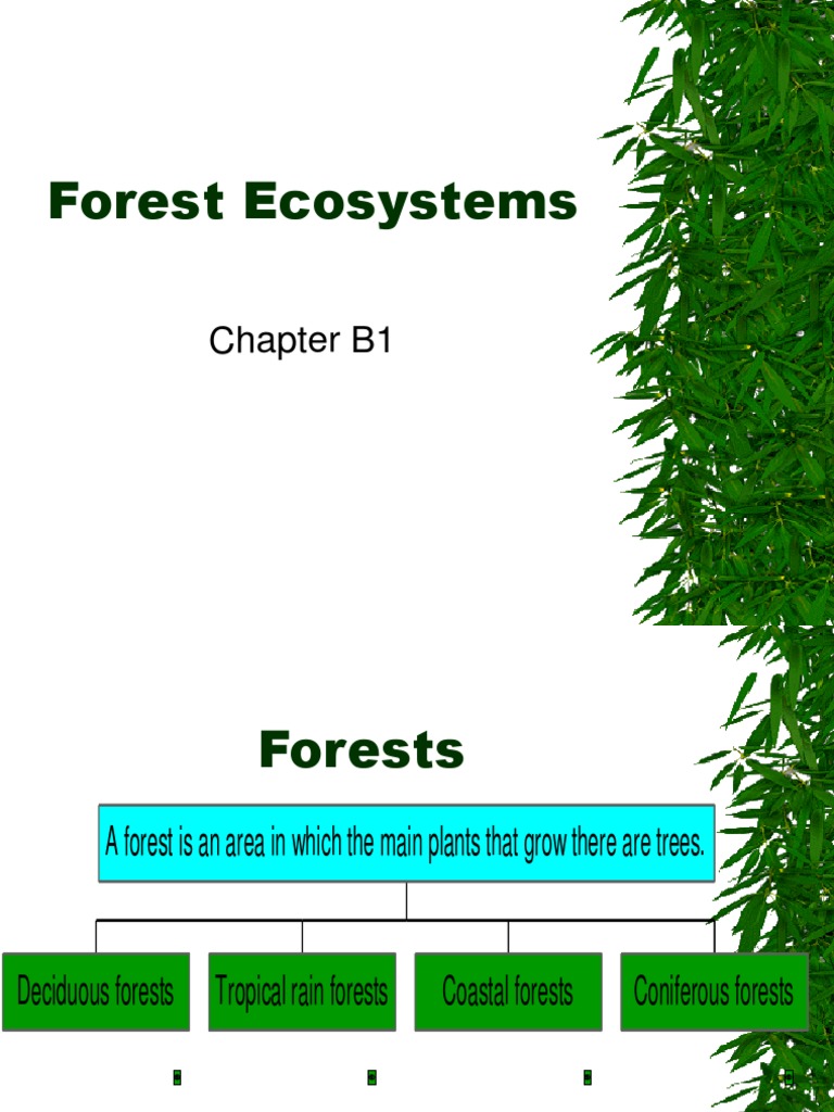 Forest Ecosystems: Chapter B1 | PDF | Home & Garden
